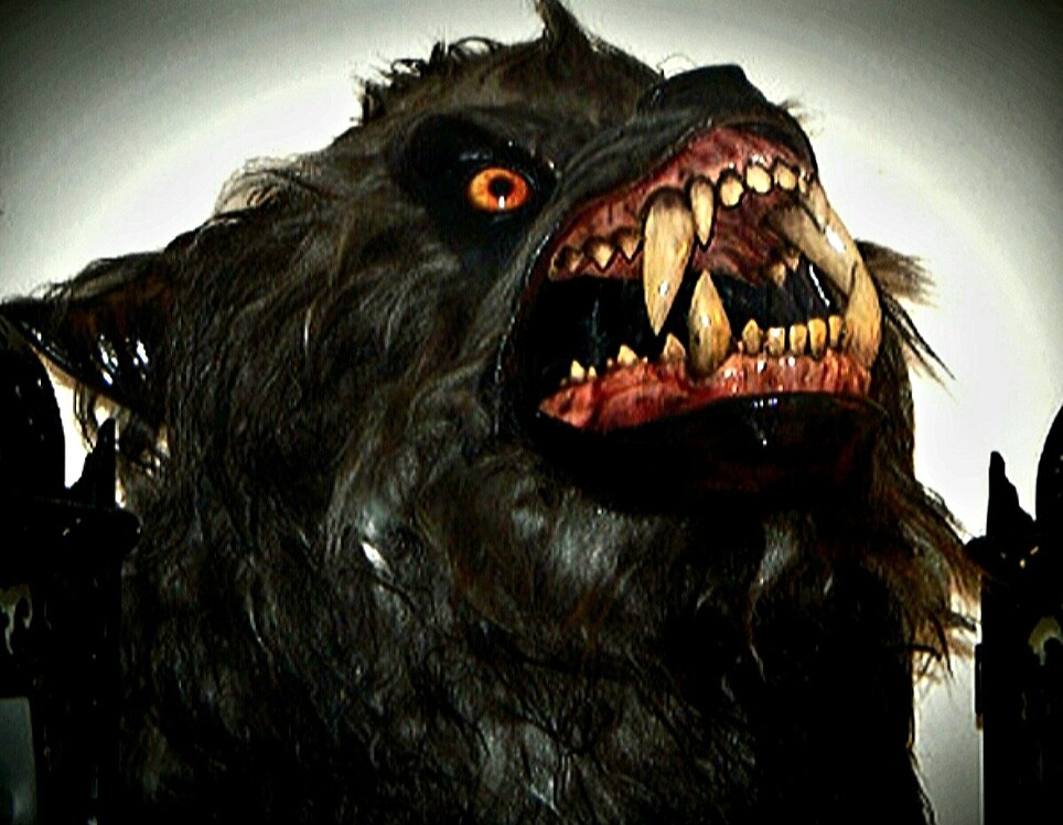 Potw--- jun 2nd---9th - General Discussion - Michael Myers forum