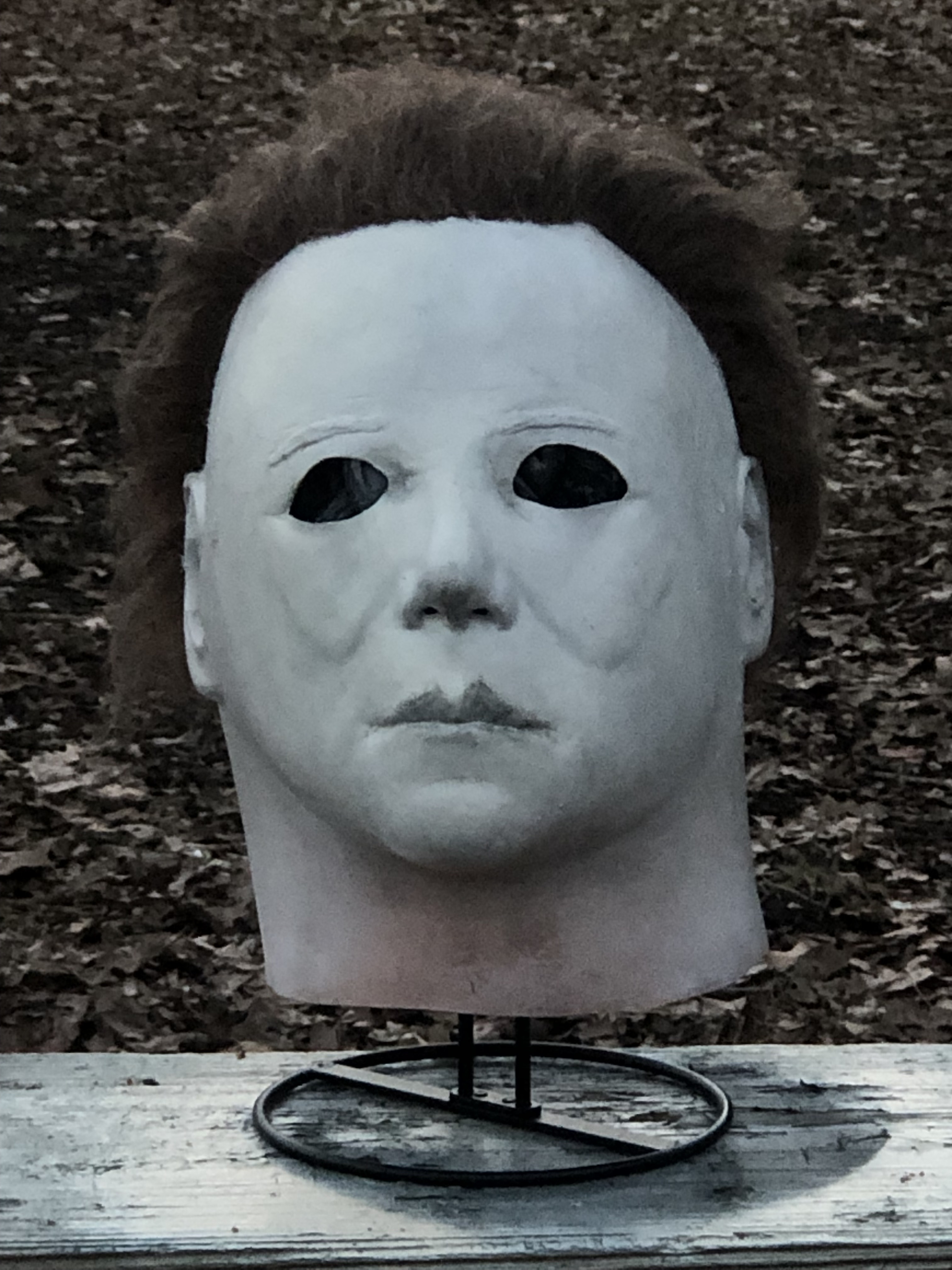 Rehaul tips? Greatly appreciated! - General Discussion - Michael Myers ...