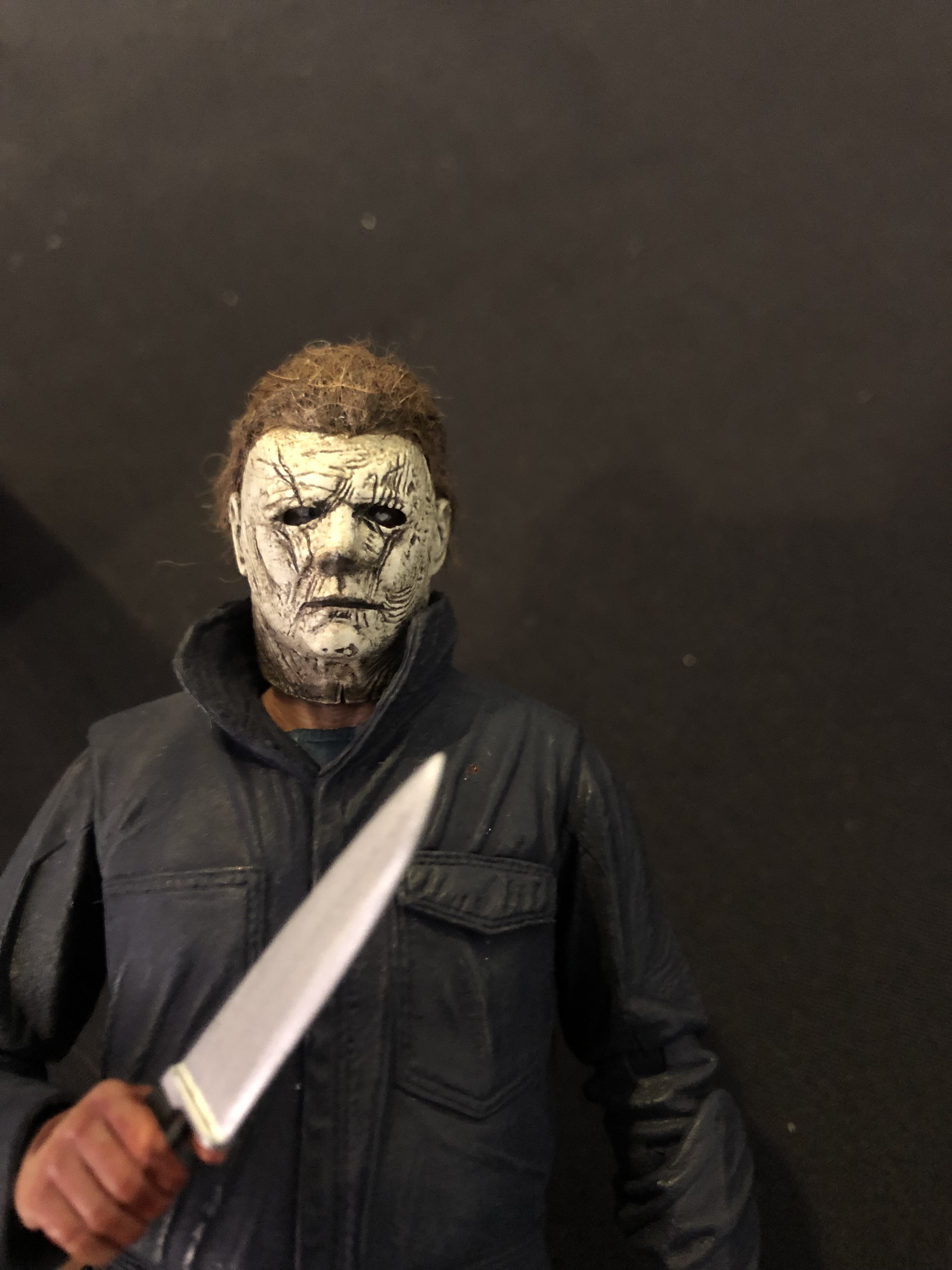 Updated NECA H40 Michael FEAR FOCUSED STUDIOS repaint with hair added ...