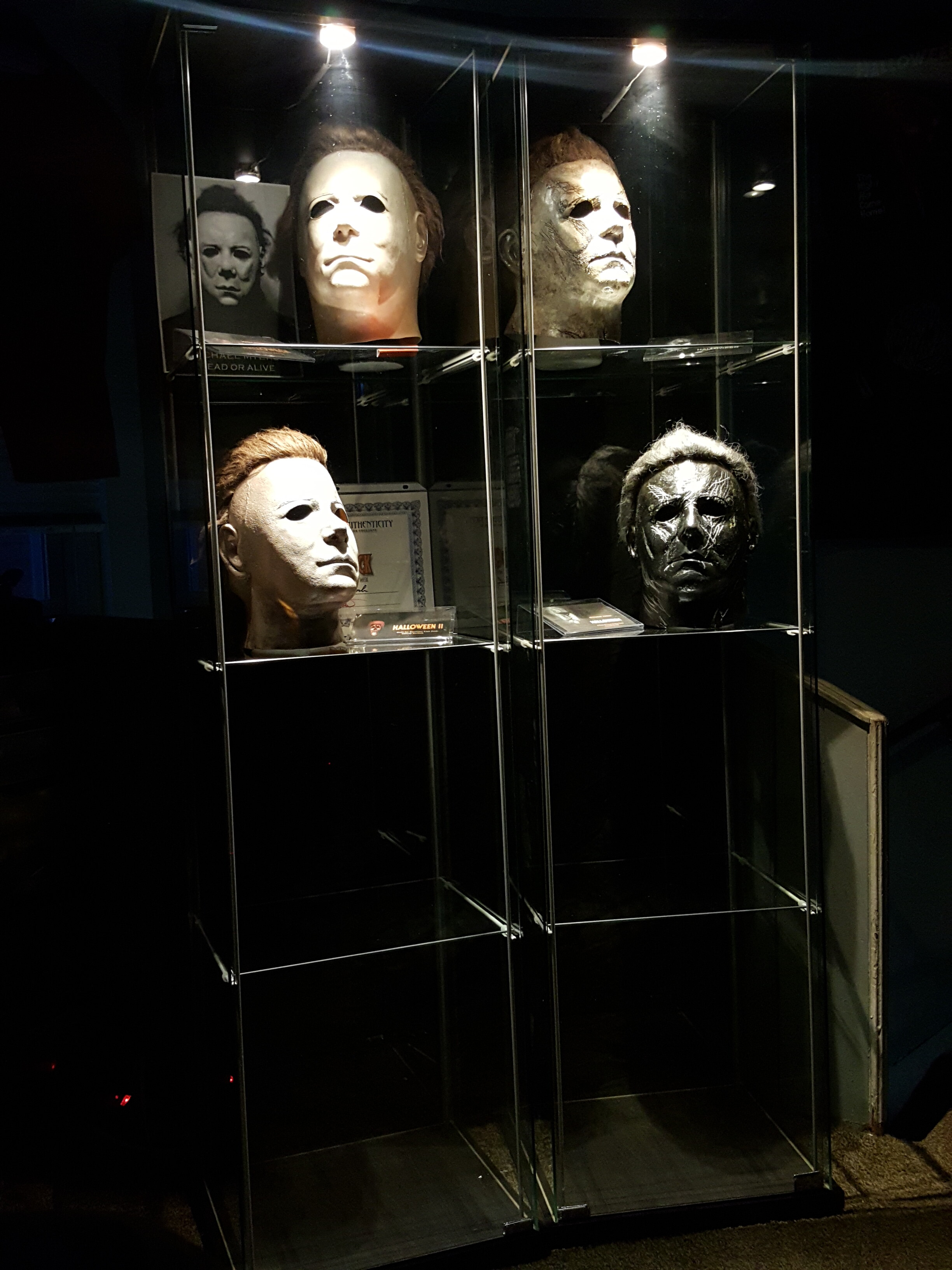 New display cases and Monkey Myers - General Discussion - Michael Myers ...