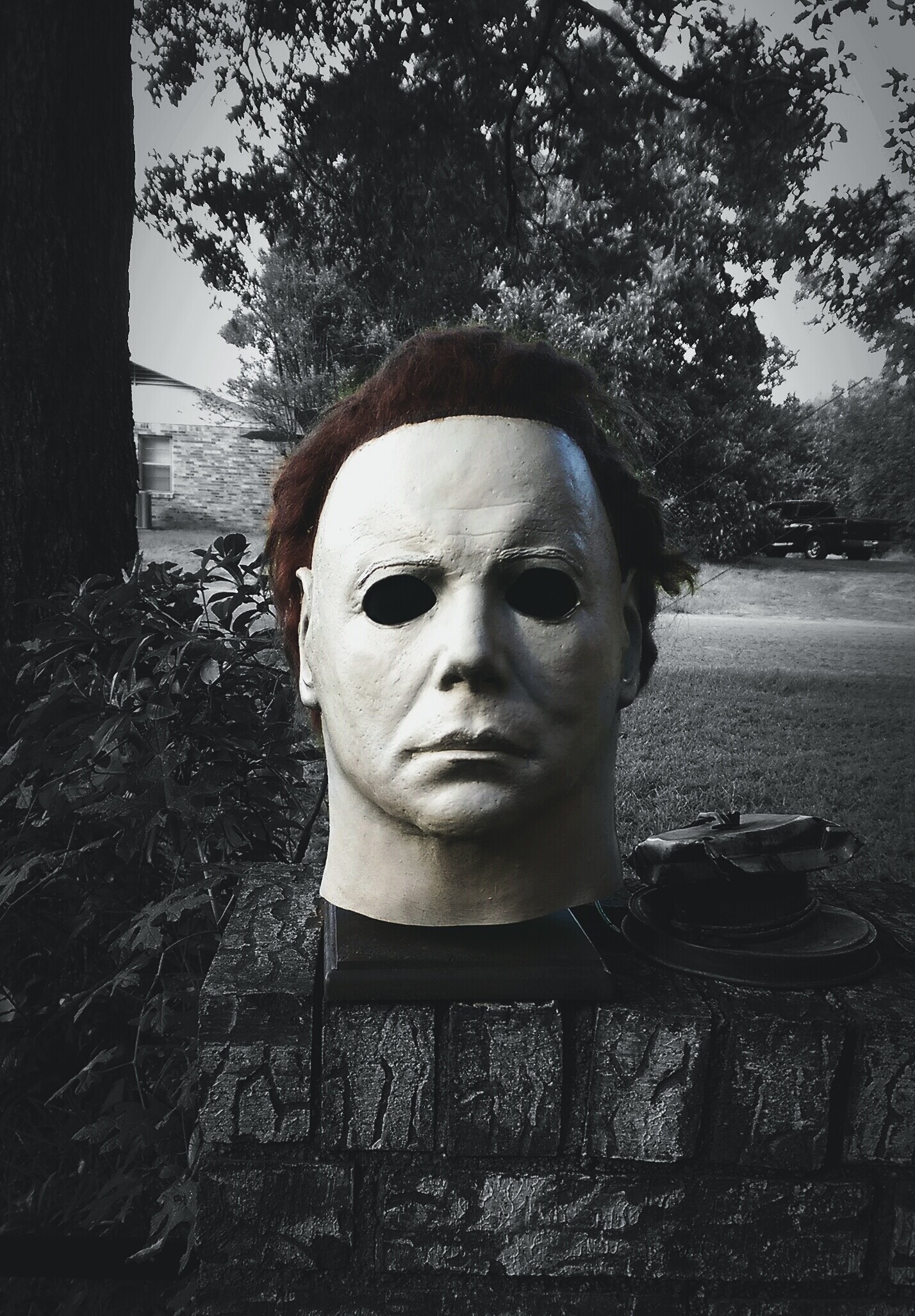 9-16-16: Pictures of the Day. - General Discussion - Michael Myers forum