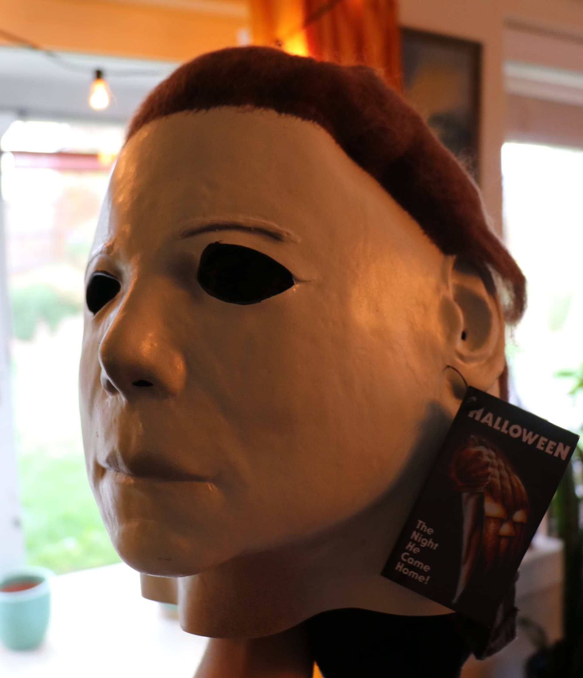 Boogeyman Flashback Project - General Discussion - Michael Myers forum