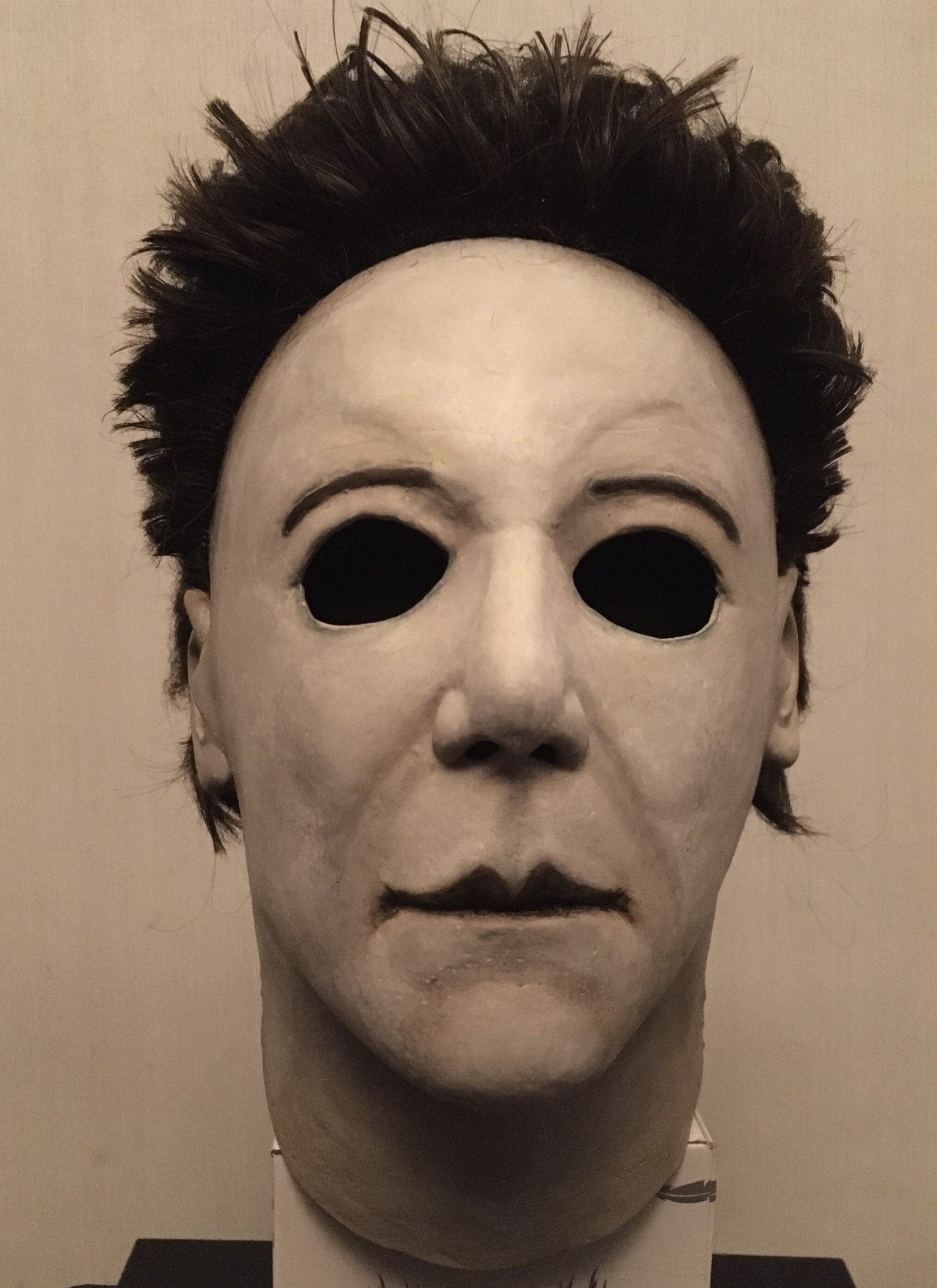 Tots H20 overhauled? - General Discussion - Michael Myers forum