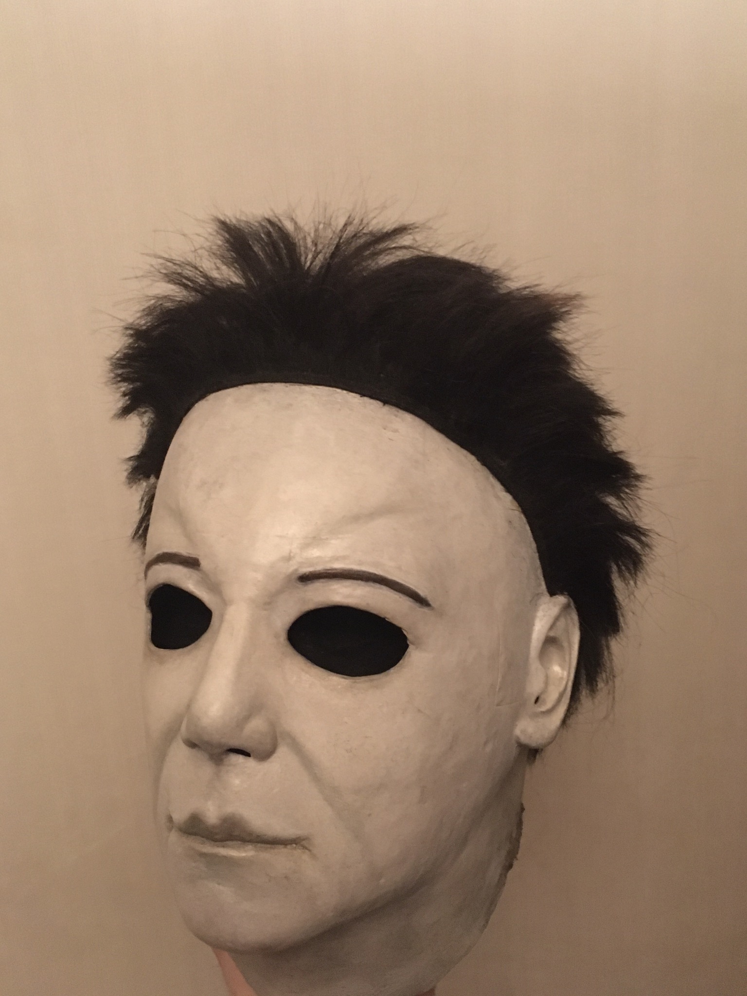 Tots H20 overhauled. - General Discussion - Michael Myers forum