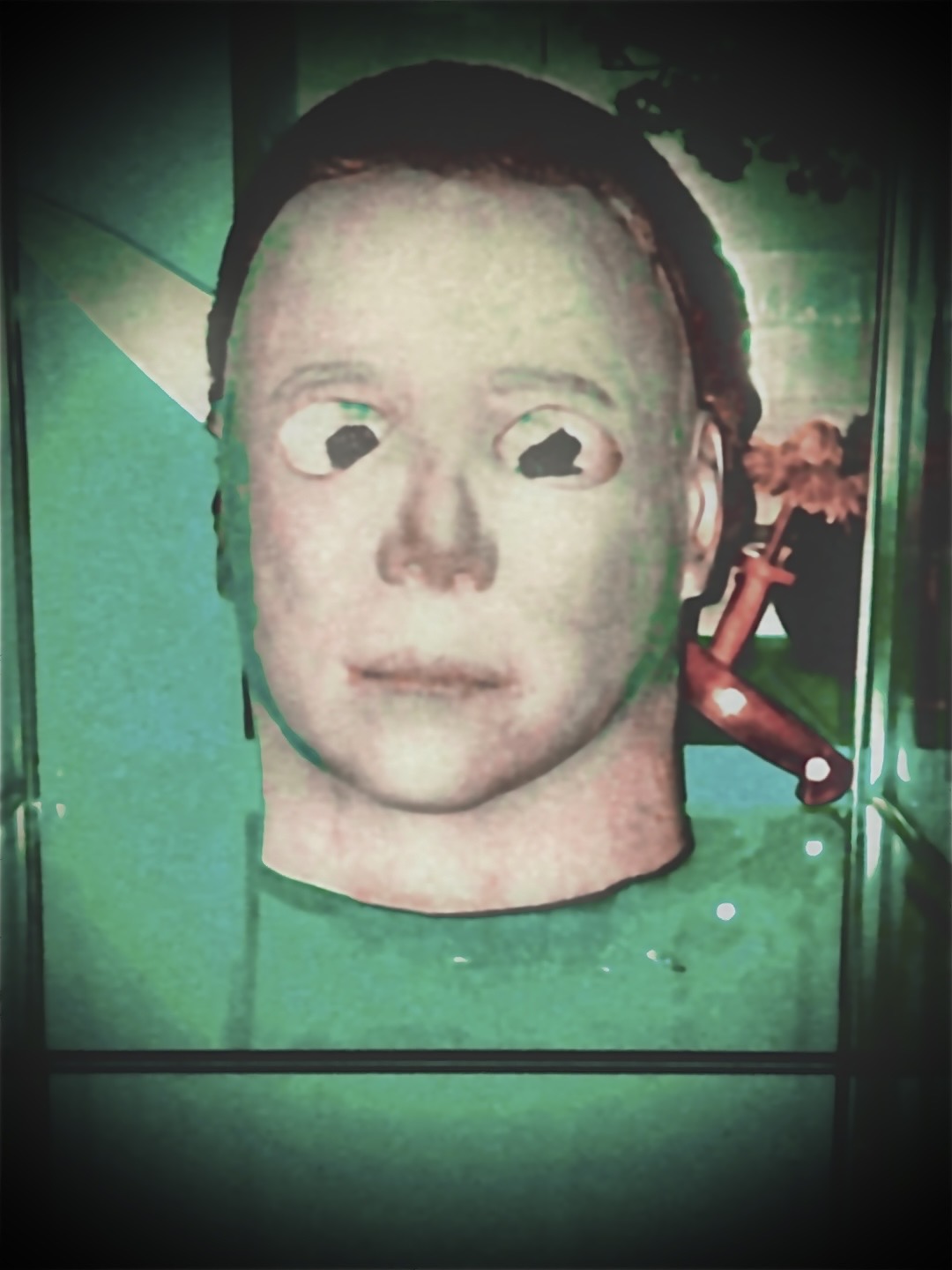 Polaroid Photo Recreation - General Discussion - Michael Myers forum