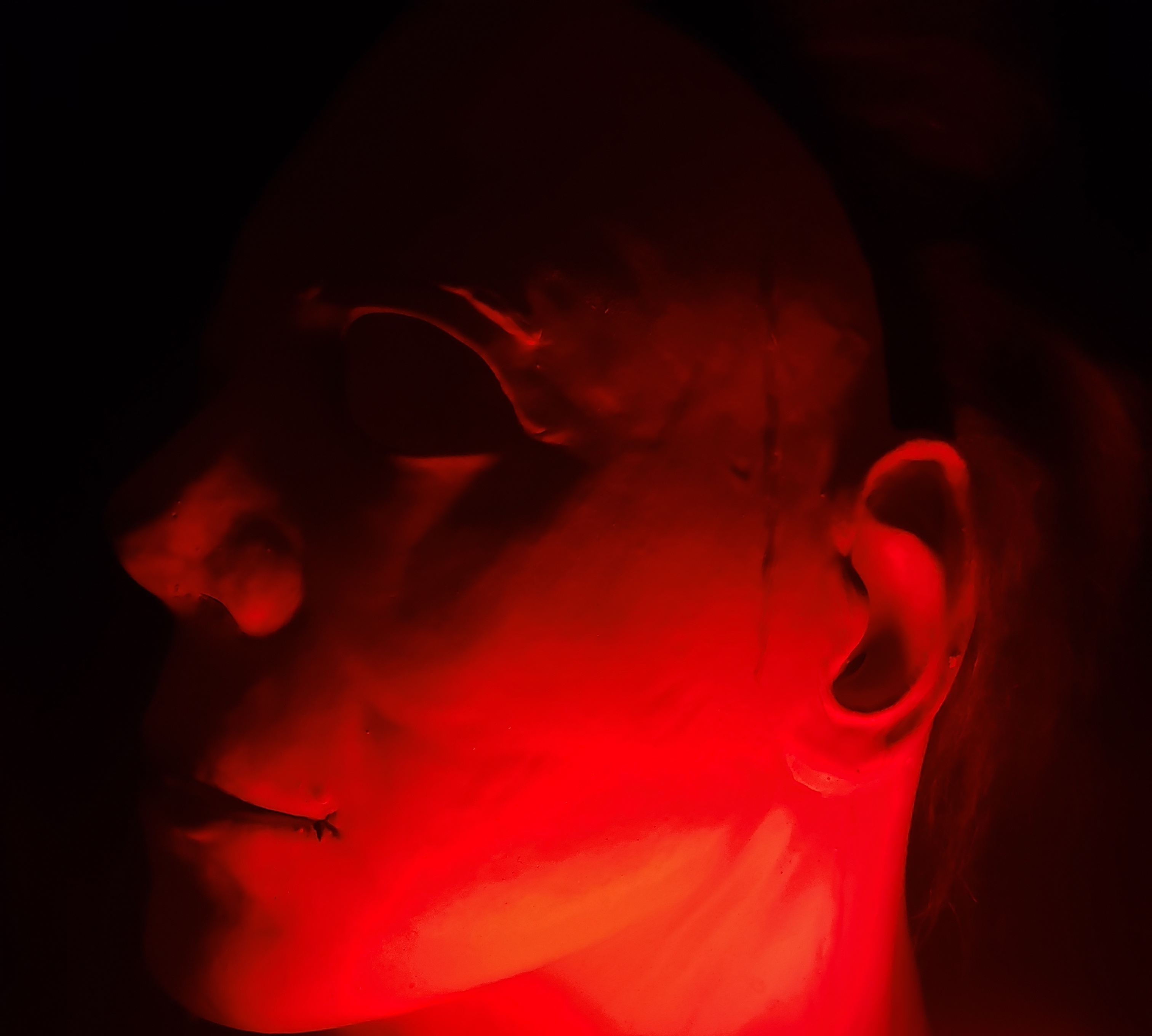 Nothing Special Pics - General Discussion - Michael Myers forum