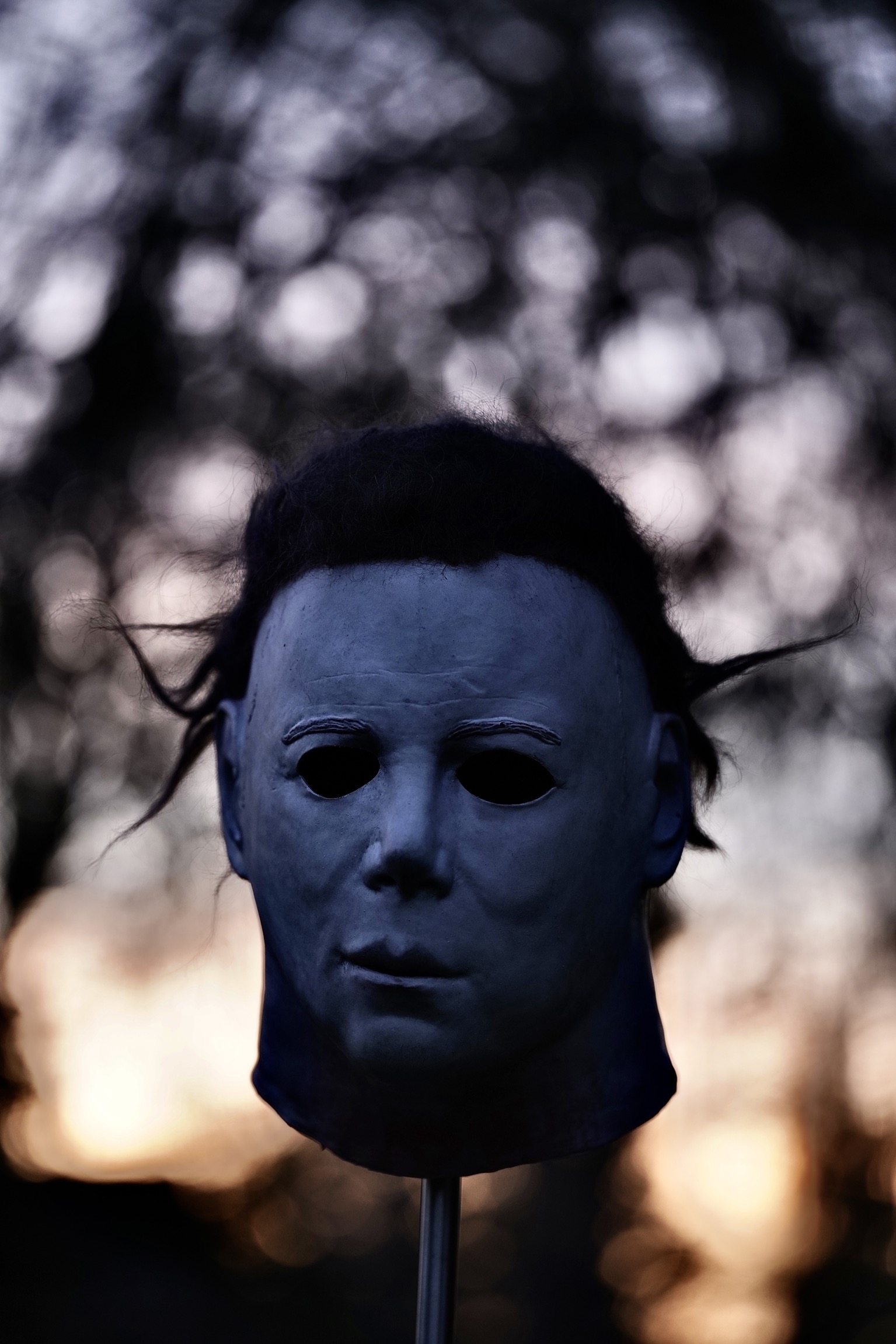 New Score: NAG PS78 JC (Pic Heavy) - General Discussion - Michael Myers ...