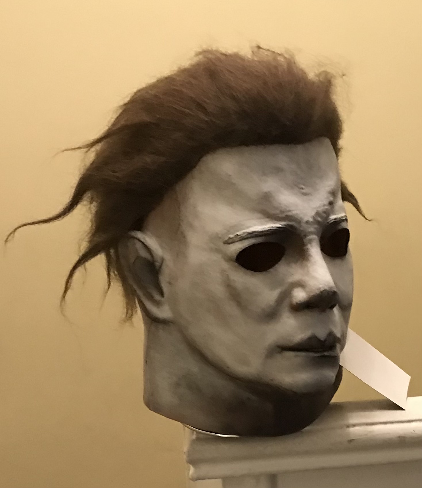 NAG ULTIMATE COVER MASK - General Discussion - Michael Myers forum